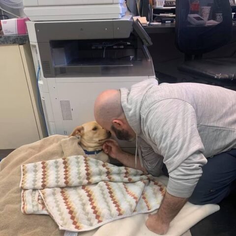 Surgical Consent Form | Chestnut Street Animal Hospital